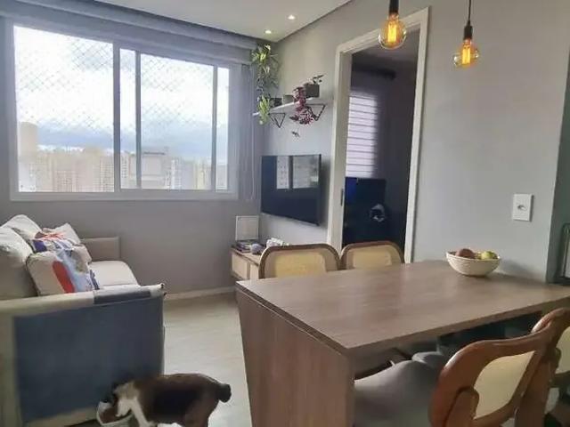 Apartamento para Locação em São Paulo/SP Cambuci 2 Quartos