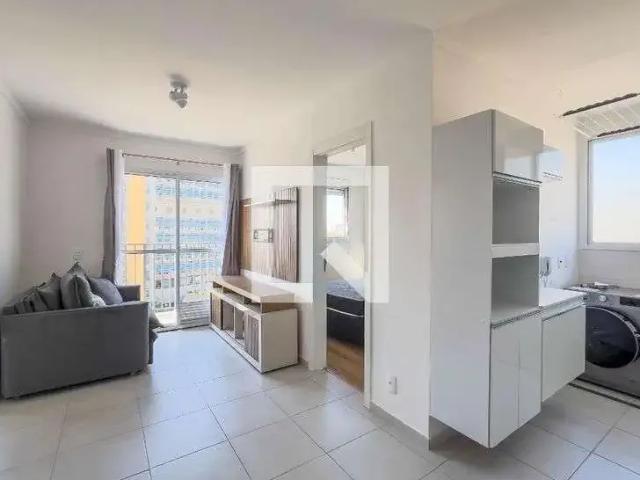 Apartamento para Locação em São Paulo/SP Cambuci 2 Quartos