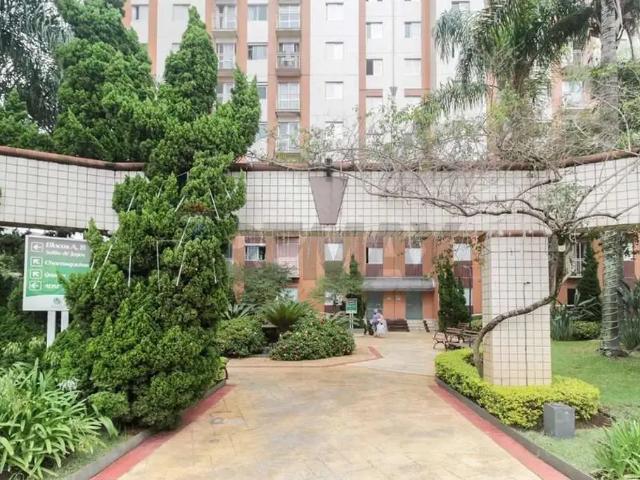 Apartamento para Locação em São Paulo/SP Cambuci 2 Quartos