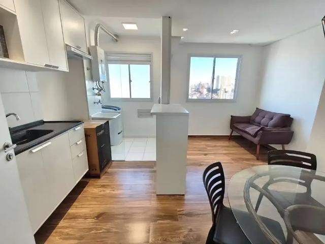 Apartamento para Locação em São Paulo/SP Cambuci 2 Quartos