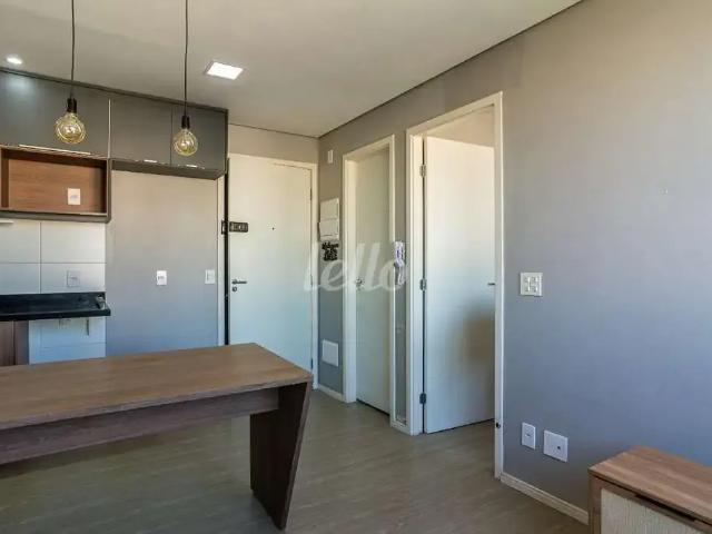 Apartamento para Locação em São Paulo/SP Cambuci 2 Quartos