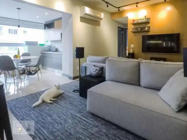 Apartamento para Locação em São Paulo/SP Cambuci 2 Quartos
