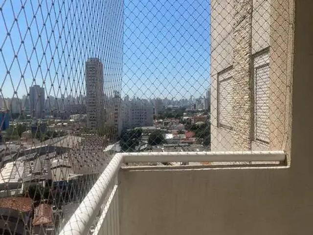 Apartamento para Locação em São Paulo/SP Cambuci 2 Quartos