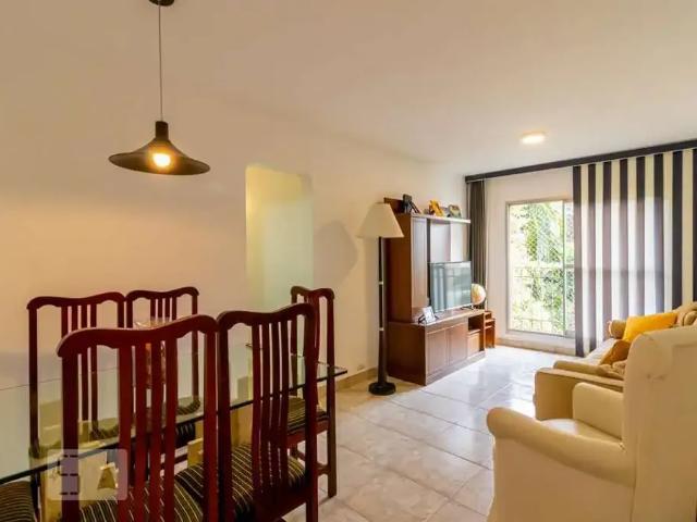 Apartamento para Locação em São Paulo/SP Cambuci 3 Quartos