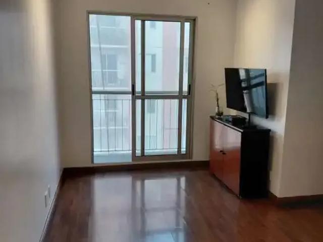 Apartamento para Locação em São Paulo/SP Cambuci 3 Quartos