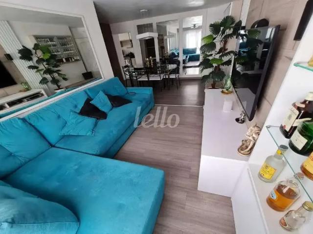 Apartamento para Locação em São Paulo/SP Cambuci 3 Quartos
