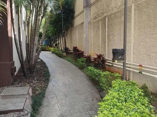 Apartamento para Locação em São Paulo/SP Cangaíba 3 Quartos