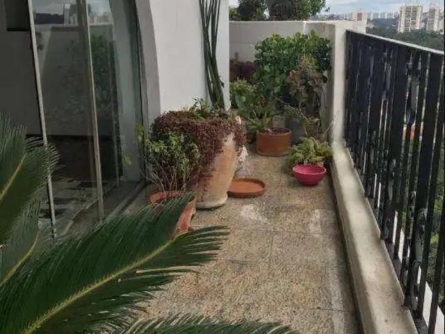 Apartamento para Locação em São Paulo/SP Granja Julieta 4 Quartos