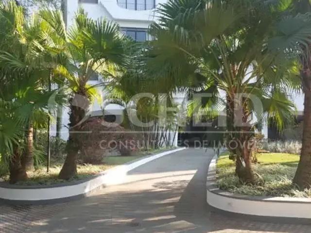 Apartamento para Locação em São Paulo/SP Granja Julieta 3 Quartos