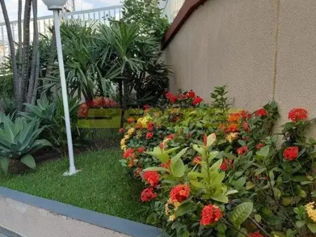 Apartamento para Locação em São Paulo/SP Imirim 2 Quartos