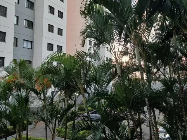 Apartamento para Locação em São Paulo/SP Jardim Pinheiros 3 Quartos