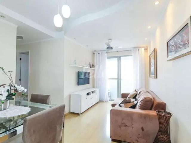 Apartamento para Locação em São Paulo/SP Jardim Têxtil 3 Quartos