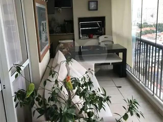 Apartamento para Locação em São Paulo/SP Mooca 3 Quartos