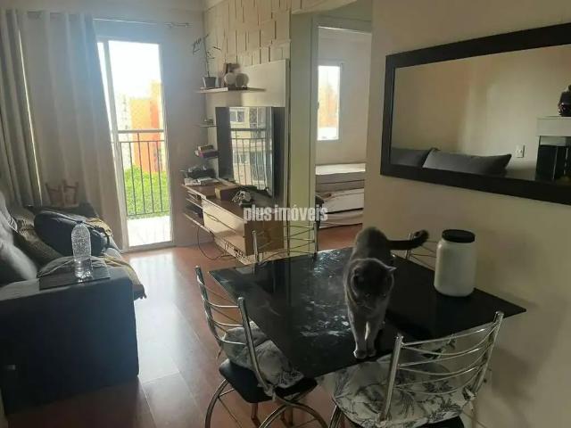 Apartamento para Locação em São Paulo/SP Morumbi 2 Quartos