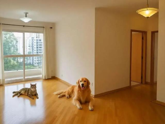 Apartamento para Locação em São Paulo/SP Morumbi 3 Quartos