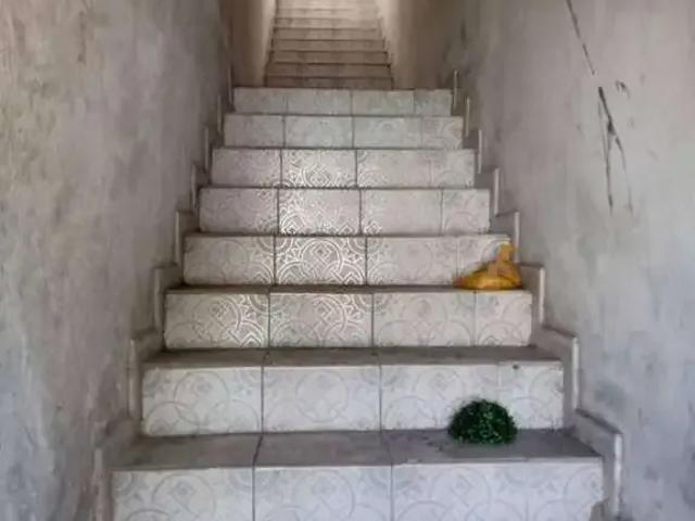 Apartamento para Locação em São Paulo/SP Parque Paulistano