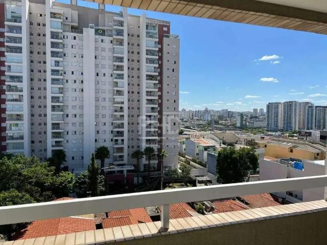 Apartamento para Locação em Santo André/SP Campestre 3 Quartos