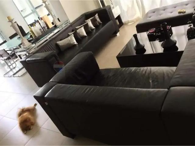 Apartamento para Locação em Sorocaba/SP Parque Campolim 3 Quartos