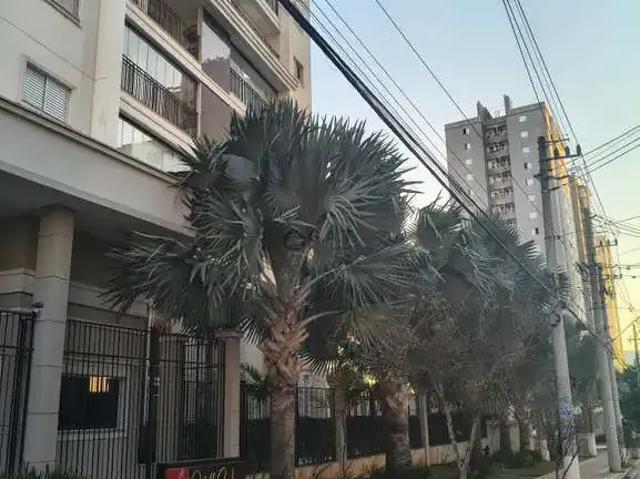 Apartamento para Locação em Sorocaba/SP Parque Campolim 3 Quartos