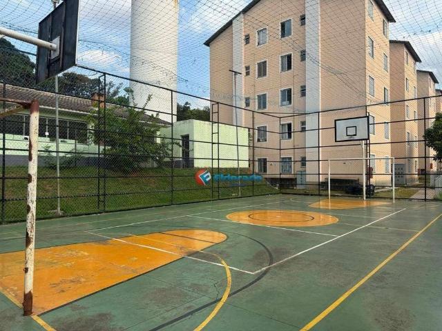 Apartamento para Locação em Sumaré/SP Jardim Denadai Nova Veneza 2 Quartos