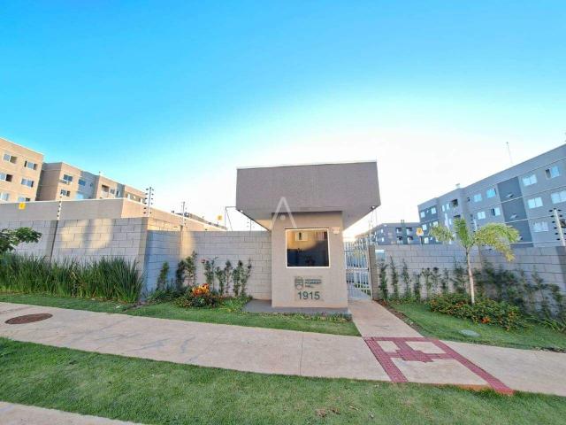 Apartamento para locação no Residencial Forest Hill, no bairro Floresta, em Cascavel PR