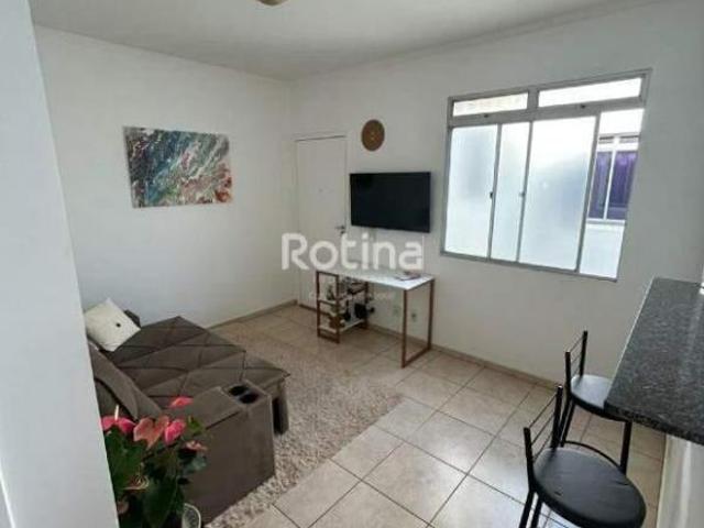 Apartamento para venda Bairro Gavea Sul
