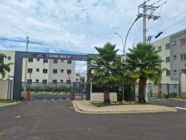 Apartamento para Venda em Marília/SP Vila Maria 2 Quartos