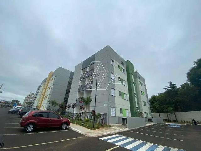 Apartamento para Venda em Marília/SP Osvaldo Fanceli