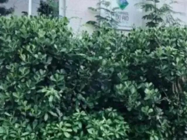 Apartamento para Venda em Mesquita/RJ Rocha Sobrinho 2 Quartos