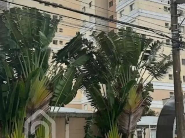 Apartamento para Venda em Mogi Guaçu/SP Loteamento Parque do Estado 2 Quartos