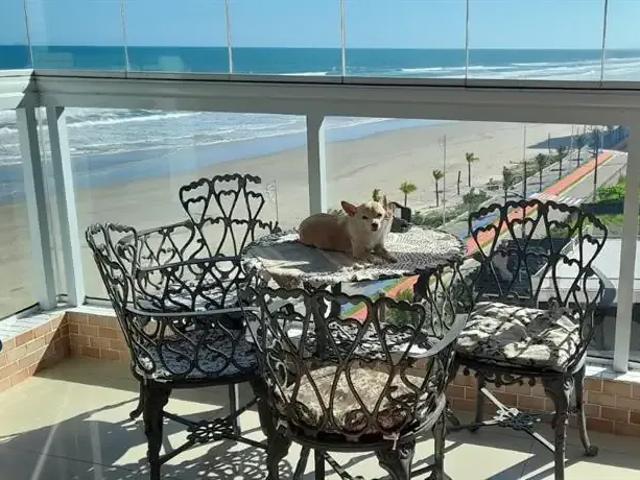 Apartamento para Venda em Mongaguá/SP Centro 2 Quartos