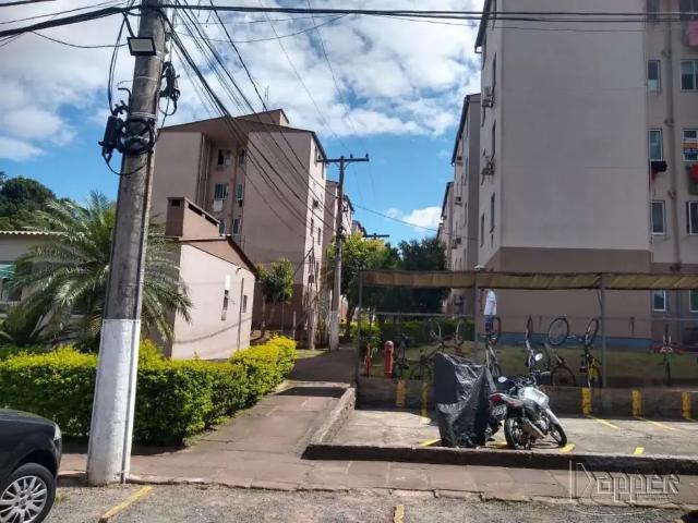 Apartamento para Venda em Novo Hamburgo/RS Canudos 2 Quartos