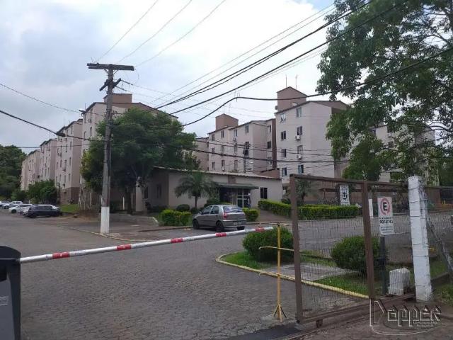 Apartamento para Venda em Novo Hamburgo/RS Canudos 2 Quartos