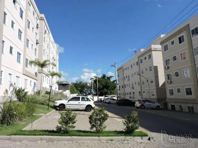 Apartamento para Venda em Novo Hamburgo/RS Rondônia 2 Quartos