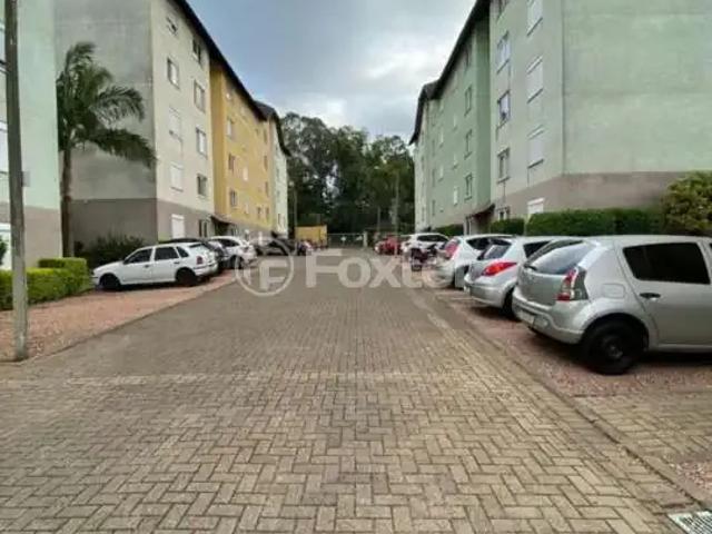 Apartamento para Venda em Novo Hamburgo/RS Rondônia 2 Quartos