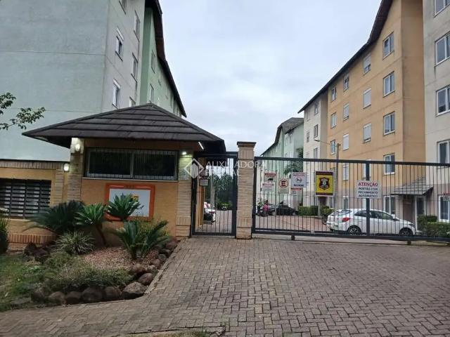 Apartamento para Venda em Novo Hamburgo/RS Rondônia 2 Quartos