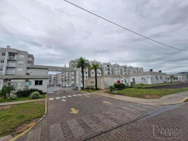 Apartamento para Venda em Novo Hamburgo/RS Santo Afonso 2 Quartos
