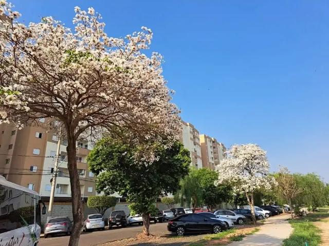 Apartamento para Venda em Nova Odessa/SP Jardim Marajoara 2 Quartos