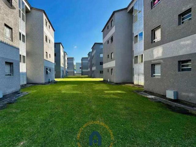 Apartamento para venda em Ouro Fino em São José Dos Pinhais Paraná de 45.00m² com 2 Quartos e 1 Garagem