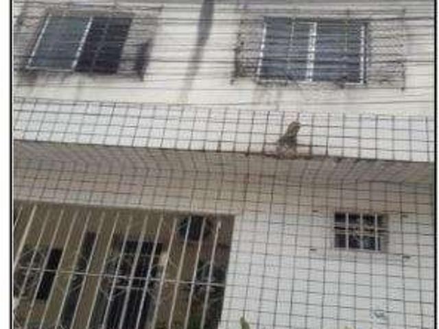 Apartamento para Venda em Abreu e Lima/PE Desterro 1 Quartos