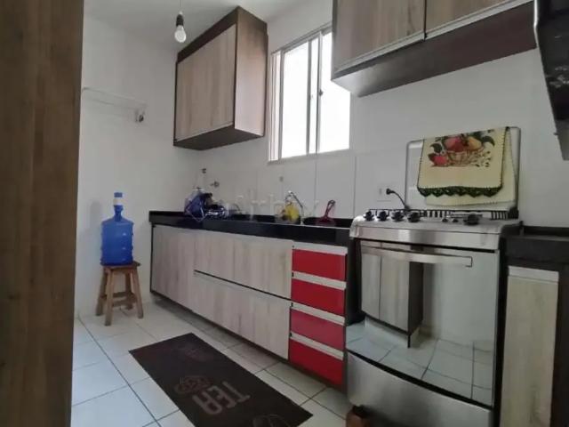 Apartamento para Venda em Americana/SP Loteamento Industrial Machadinho 2 Quartos