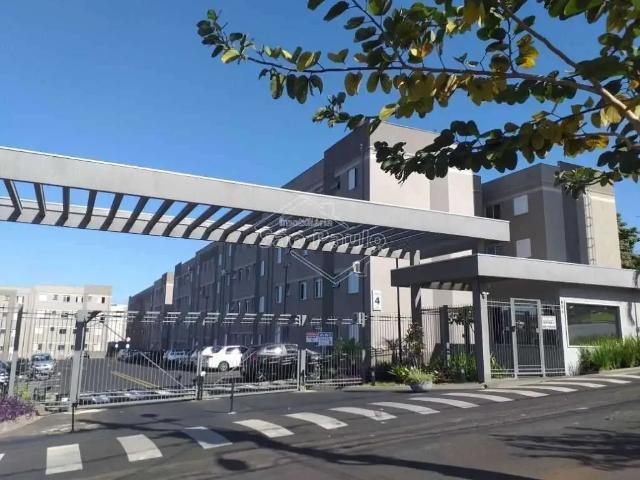 Apartamento para Venda em Araraquara/SP Jardim Residencial Paraíso 2 Quartos