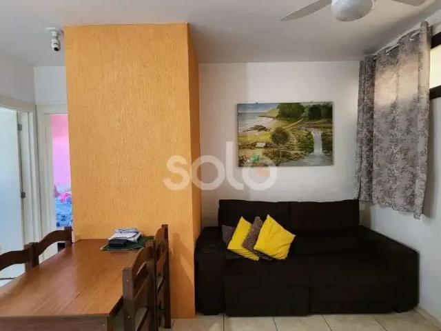 Apartamento para Venda em Araraquara/SP Jardim Residencial Paraíso 2 Quartos