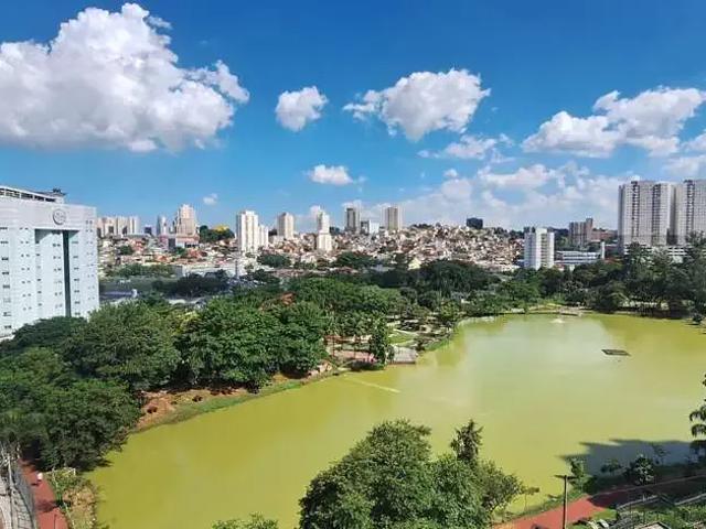 Apartamento para Venda em Barueri/SP Jardim Tupanci 3 Quartos