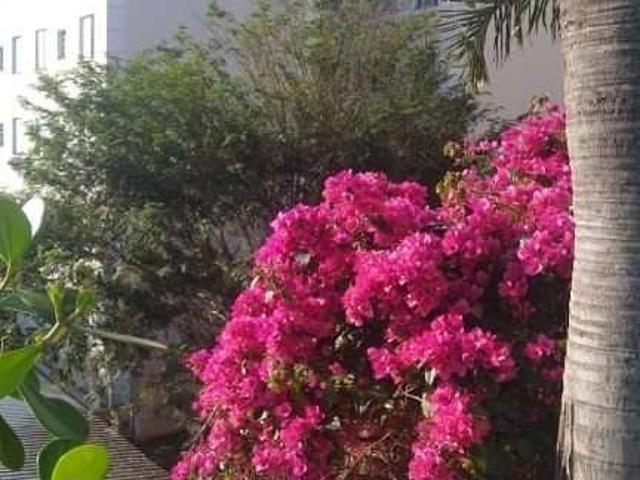 Apartamento para Venda em Bauru/SP Reserva Belas Nações 2 Quartos