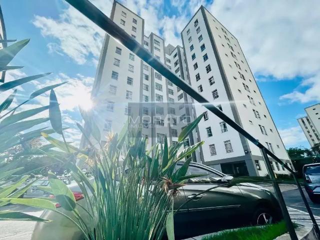 Apartamento para Venda em Belo Horizonte/MG Conjunto Califórnia 3 Quartos