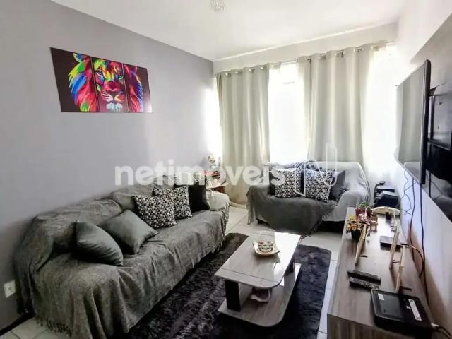 Apartamento para Venda em Belo Horizonte/MG Cidade Nova 3 Quartos