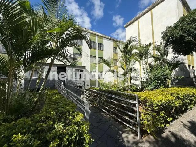 Apartamento para Venda em Belo Horizonte/MG Horto Florestal 3 Quartos