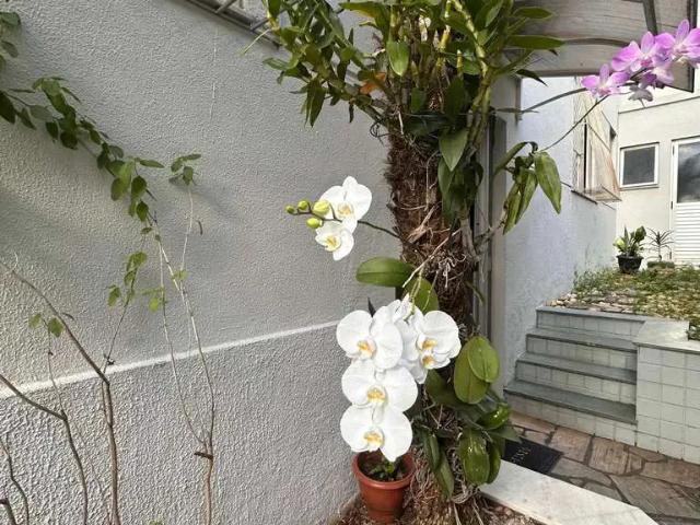 Apartamento para Venda em Belo Horizonte/MG Itapoã 3 Quartos