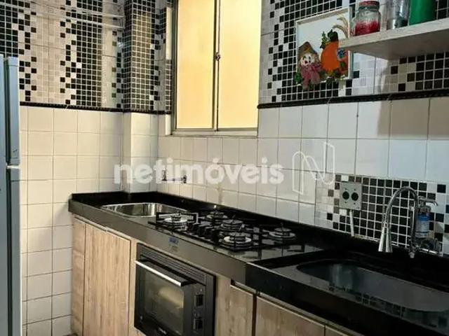 Apartamento para Venda em Belo Horizonte/MG Madre Gertrudes 2 Quartos